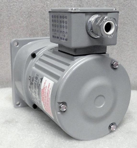 Brother G3K18N030-BMH4A 3-Phase Induction Motor | Garden City Plastics