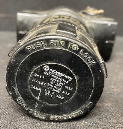 Norgren R17-600-RGSA Regulator | Garden City Plastics