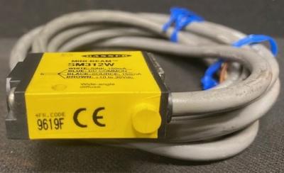 Banner SM312W Mini-Beam Photoelectric Sensor | Garden City Plastics